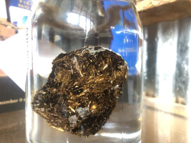 Artist Selling Derby Winner’s Poop In A Jar